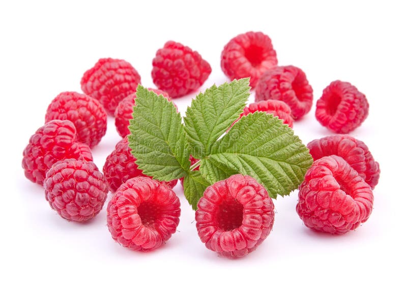 Raspberry fruit stock image. Image of leave, nobody, closeup - 21886747