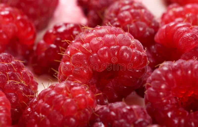Raspberry fruit stock photo. Image of ripe, sweet, fruity - 27434510