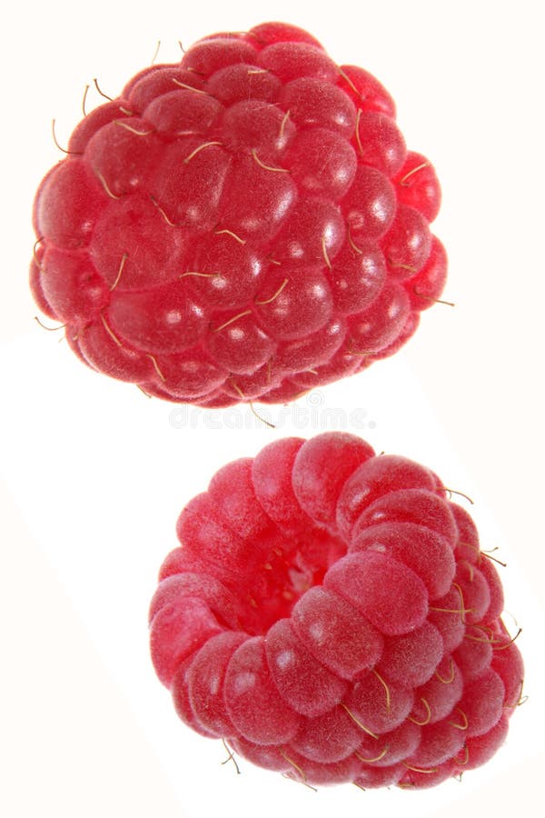 Raspberry fruit stock photo. Image of berry, ingredient - 21923524