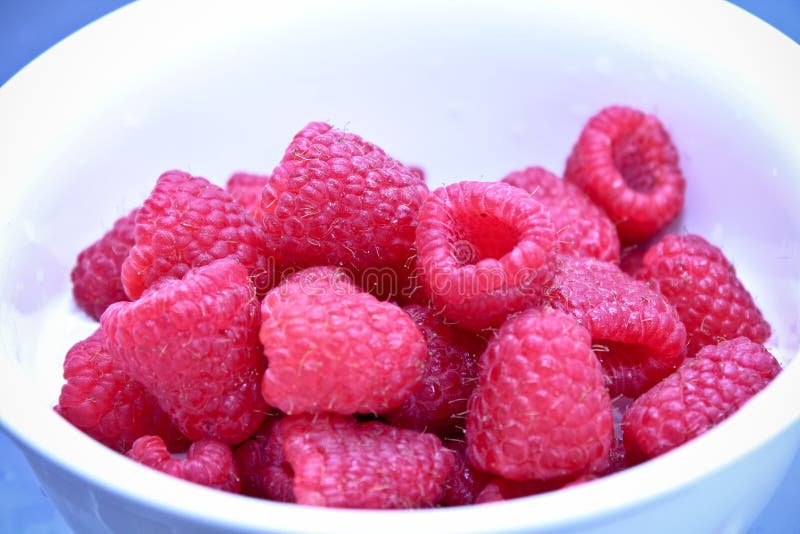 Raspberry fruit stock photo. Image of vibrant, delicious - 36023730
