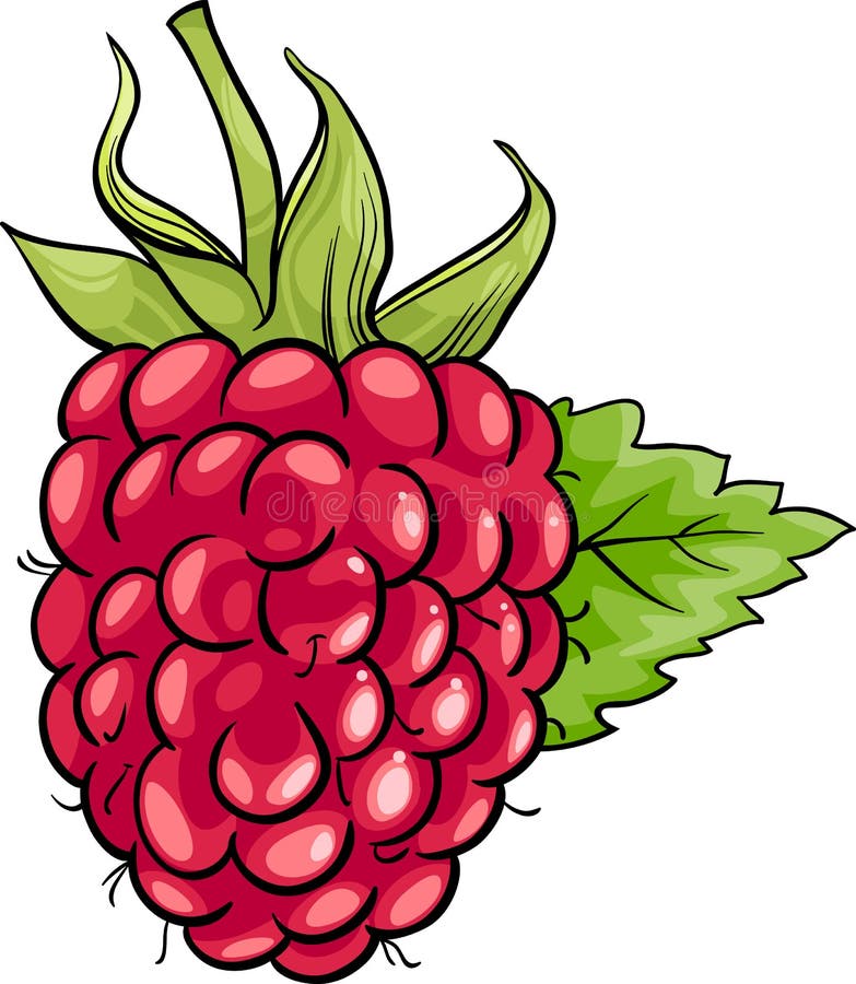 Raspberry Fruit Cartoon Illustration Stock Vector - Illustration of ...
