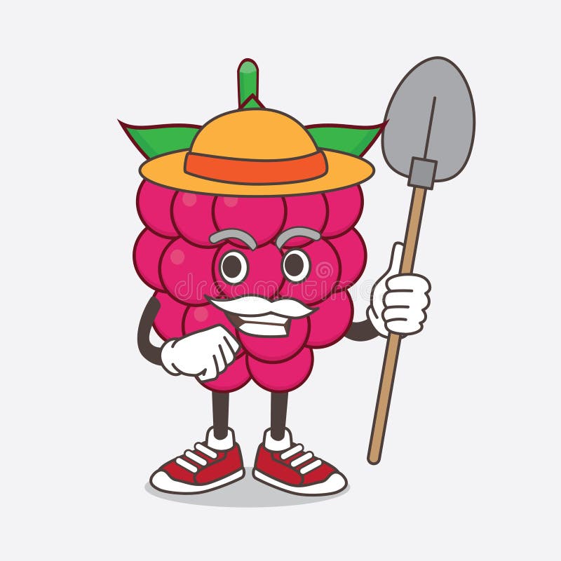 Raspberry Fruit Cartoon Mascot Character with Hat and Farmer Tools ...