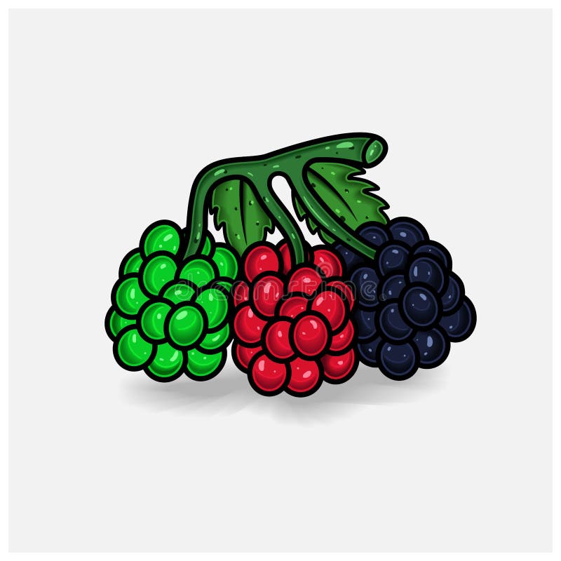 Raspberry Fruit Cartoon with Simple Gradient and Details Stock Vector ...