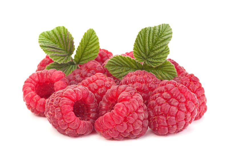 Raspberry fruit closeup stock photo. Image of white, berry - 58520260