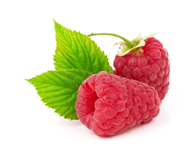 Raspberry stock photo. Image of fruity, healthy, fruit - 25399098