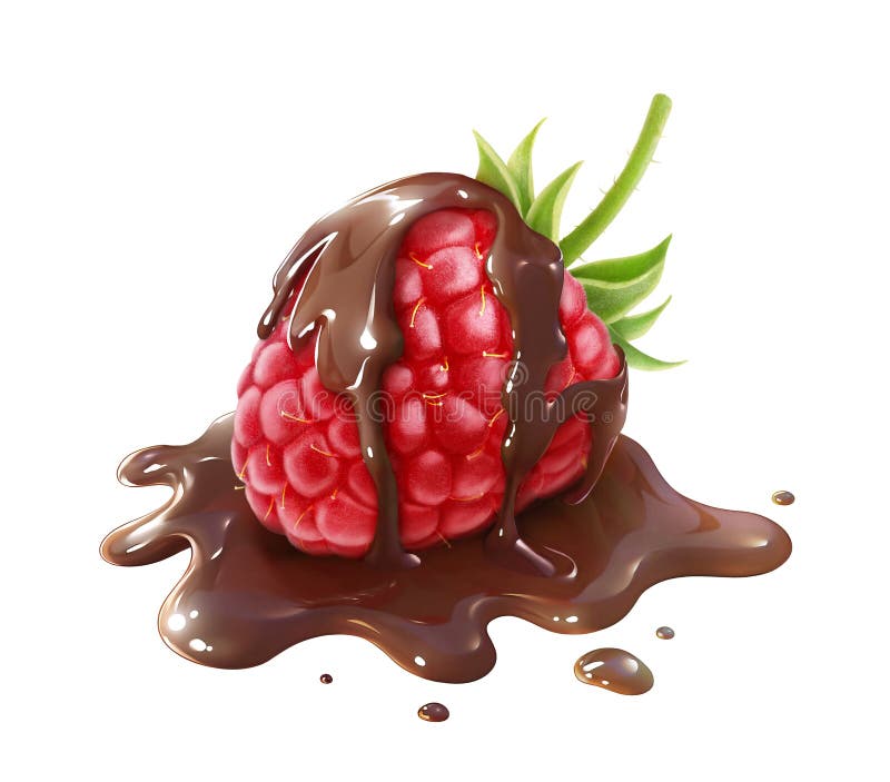 Raspberry Fruit Dipped in Chocolate Isolated on White Stock Image ...