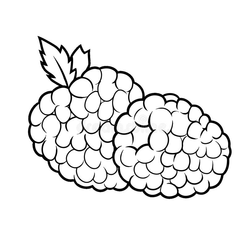 Raspberry Coloring Stock Illustrations – 478 Raspberry Coloring Stock ...