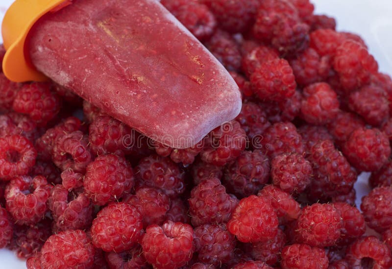 Raspberry Fruit Ice Cream and Fresh Raspberries Stock Image - Image of ...