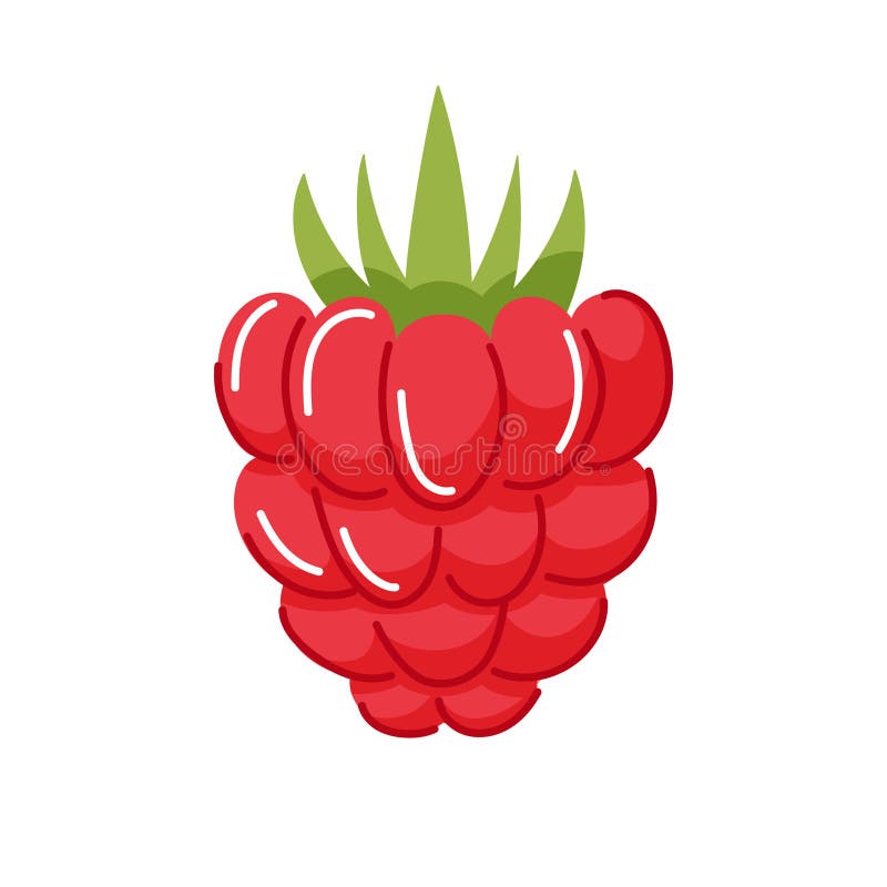 Raspberry Fruit with Leaf in Flat Style Isolated on a White Background ...