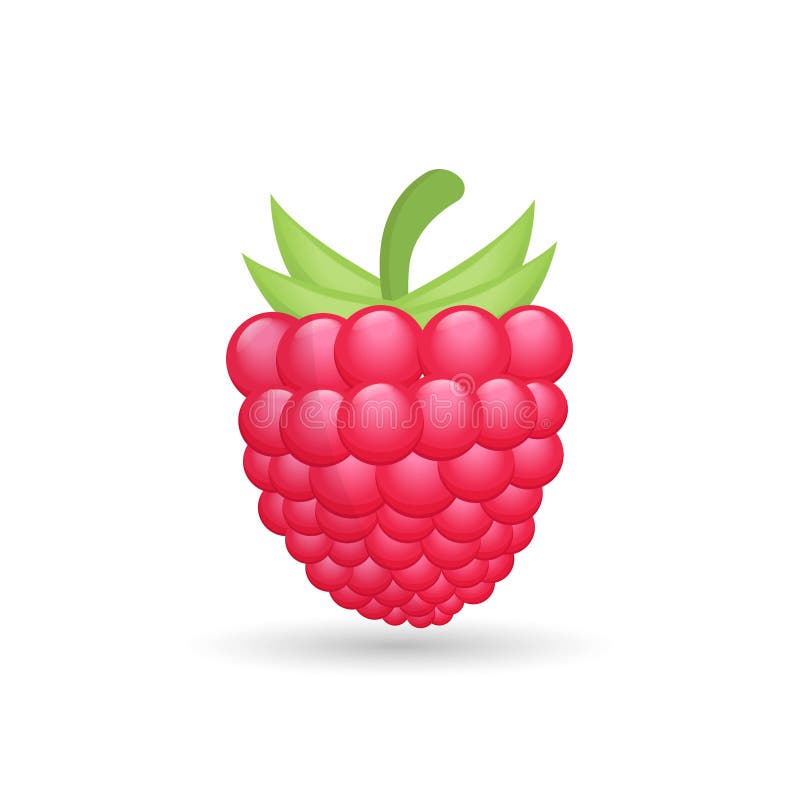 Raspberry Fruit Realistic Vector Illustration, Raspberry Isolated ...