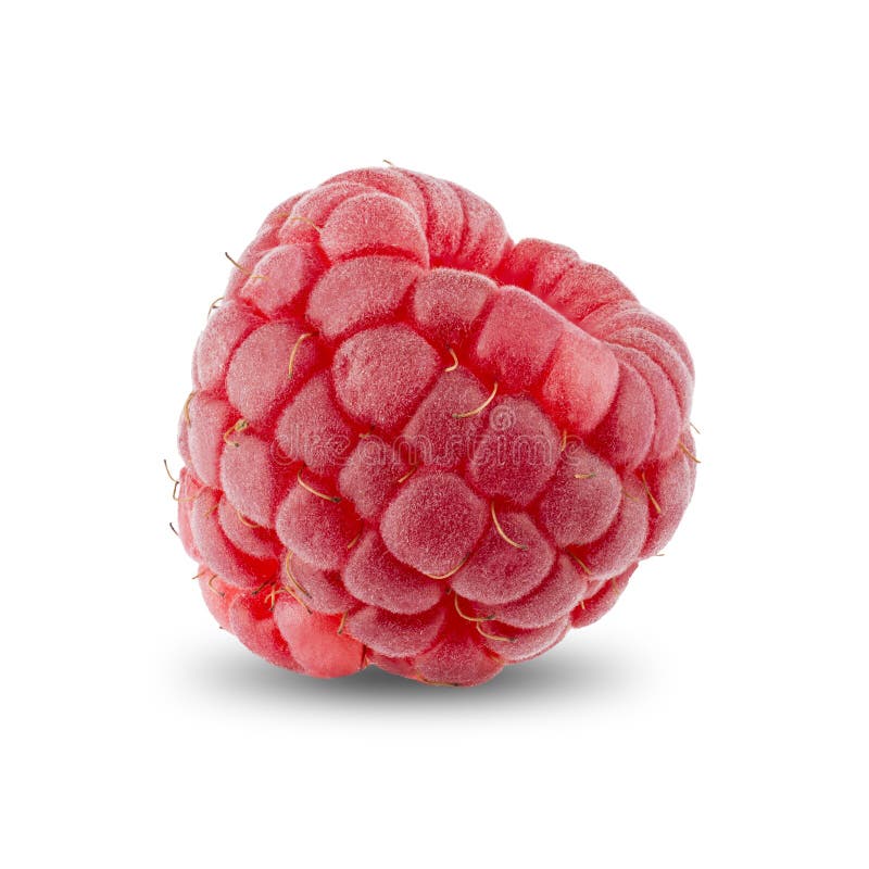 Raspberry Fruit stock photo. Image of macro, organic - 65894456