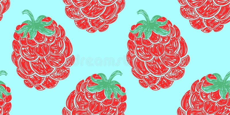 Raspberry Fruit Sketch. Color Vector Illustration Stock Vector ...