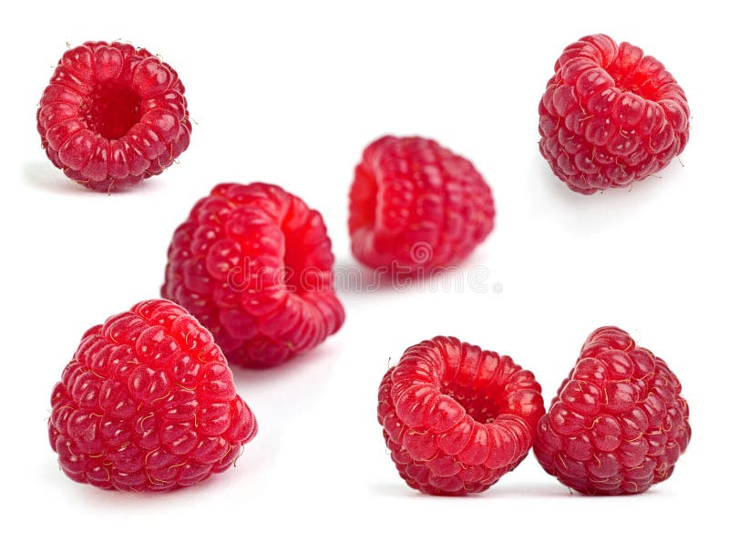 Raspberry fruit stock photo. Image of berry, ingredient - 21923524