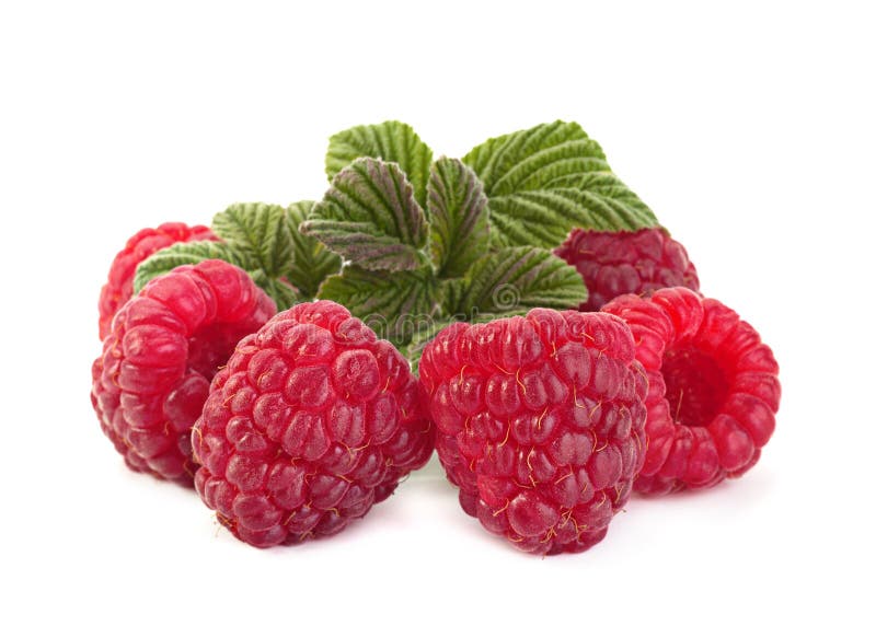 Raspberry fruit on white stock photo. Image of closeup - 60621488
