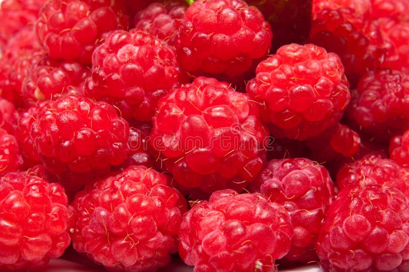 Raspberry fruits stock image. Image of ingredient, vitamins - 20523965