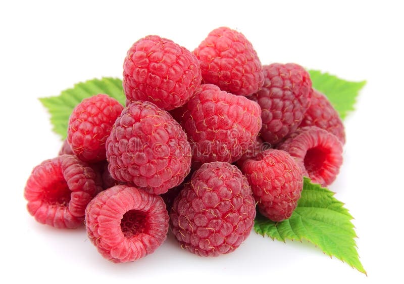 White raspberry stock photo. Image of ingredient, natural - 25293376