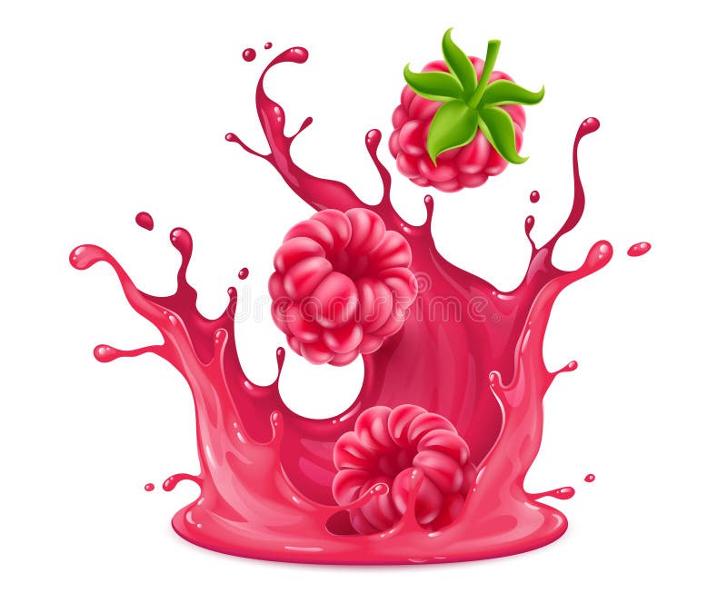 Fresh raspberry stock illustration. Illustration of fruit - 2303273