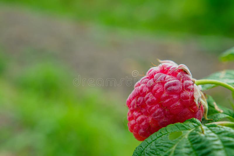 421 Space Jam Poster Stock Photos - Free & Royalty-Free Stock Photos ...