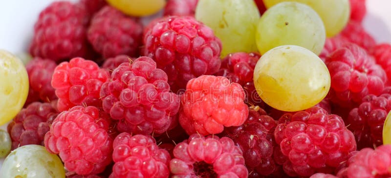 Raspberry and Grape Fruits, Red , Green and Ripe Stock Photo - Image of ...