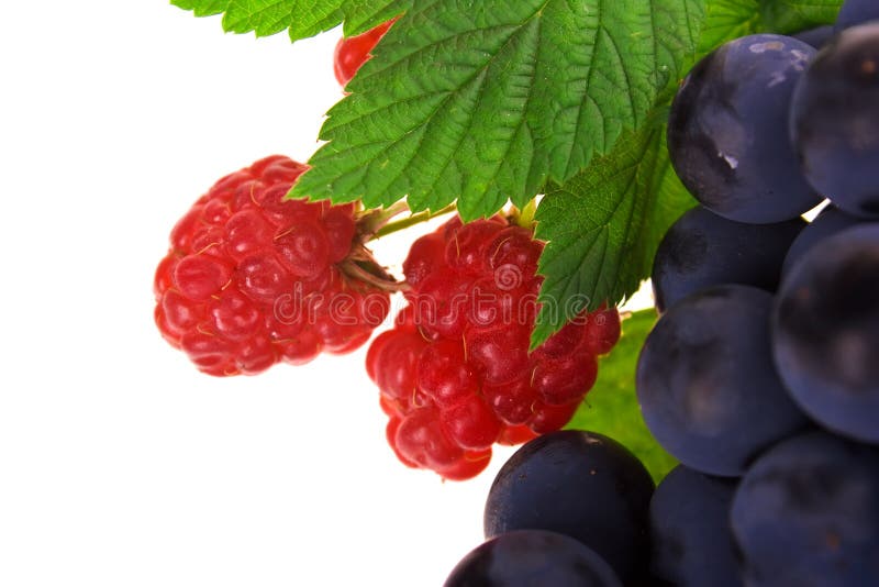 Raspberry and grapes fruit stock image. Image of luscious - 11540543