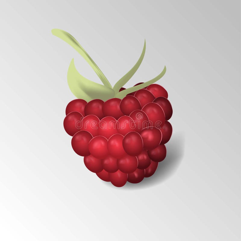 Raspberry, Great Design for Any Purposes. Vegan Food Diet Icon ...