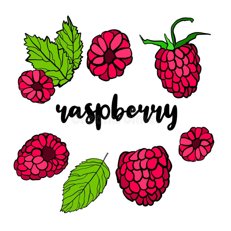 Doodle Raspberry Stock Illustrations – 2,956 Doodle Raspberry Stock ...