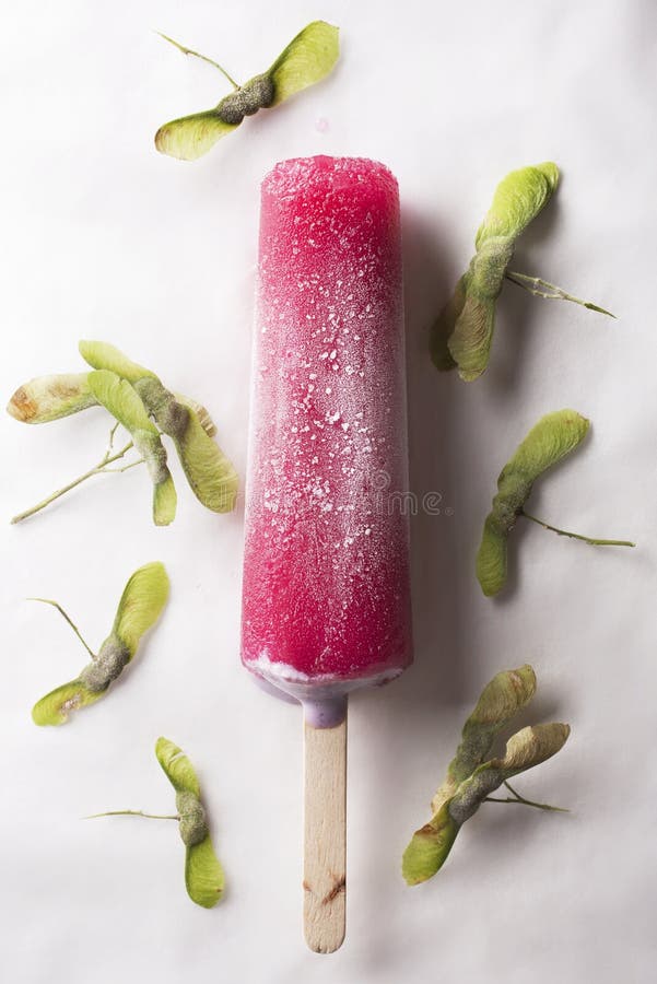 Maple Ovaries Stock Photos - Free & Royalty-Free Stock Photos from ...