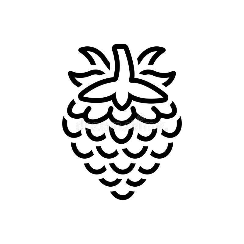 Black Line Icon for Raspberry, Berry and Fruit Stock Vector ...