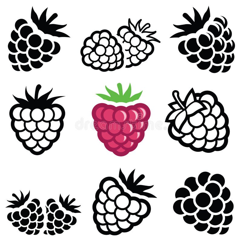 Raspberry Lemonade Stock Illustrations – 3,271 Raspberry Lemonade Stock ...
