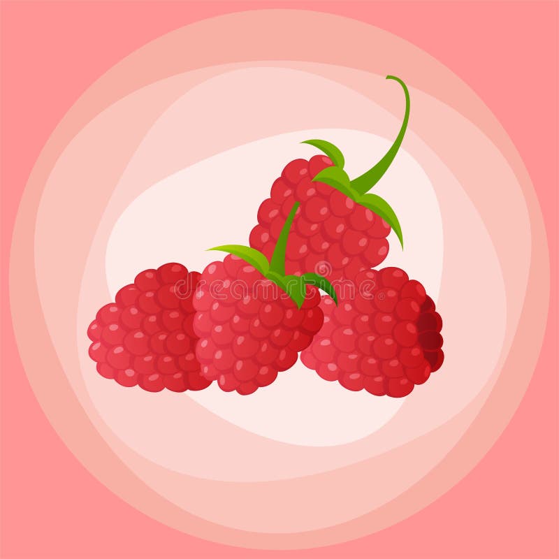 Raspberry Icon Logo Berry Vector Illustration Flat Stock Illustration ...