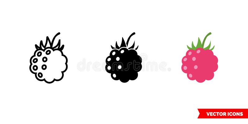 Raspberry Icon of 3 Types Color, Black and White, Outline. Isolated ...