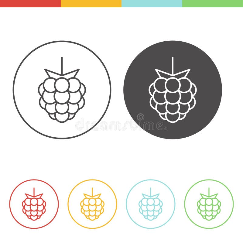 Raspberry icons stock illustration. Illustration of grey - 95165796