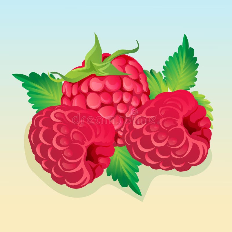 Raspberry illustration stock illustration. Illustration of puzzle ...