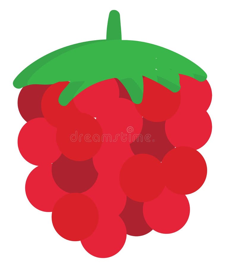 Raspberry tea illustration stock vector. Illustration of plant - 85354755
