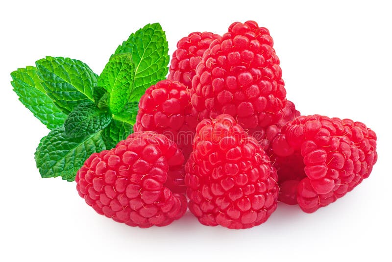 Raspberry Isolated. Fresh Raspberries with Mint Leaves on White ...