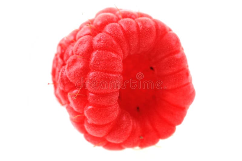 Raspberry isolated stock image. Image of view, isolated - 55641217