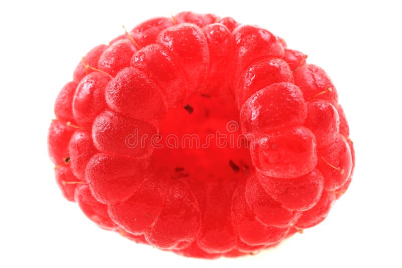 Raspberry isolated stock image. Image of view, isolated - 55641217