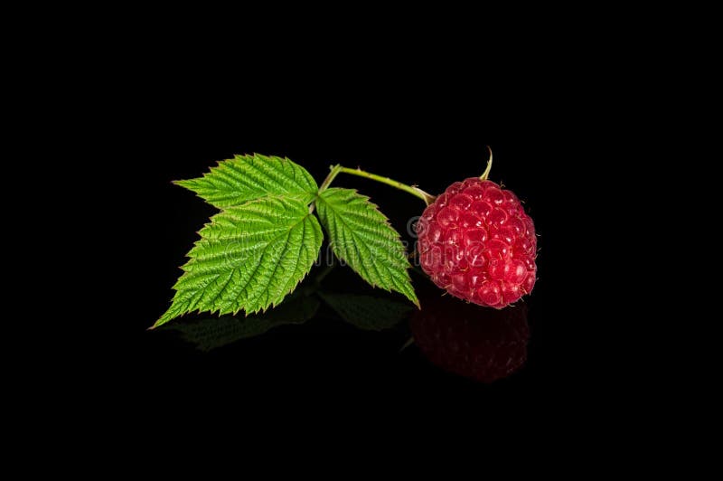 Raspberry Isolated. Raspberries with Leaf Isolate Stock Photo - Image ...