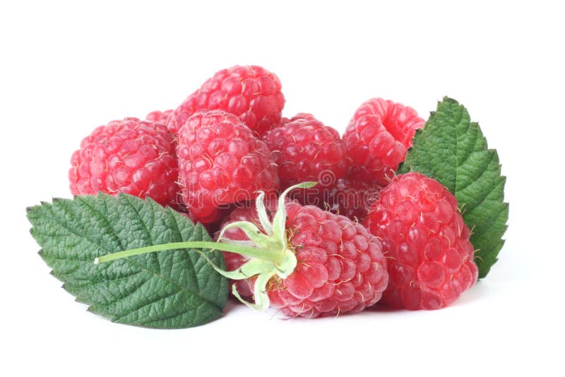 Raspberry isolated white stock image. Image of juicy - 15226215
