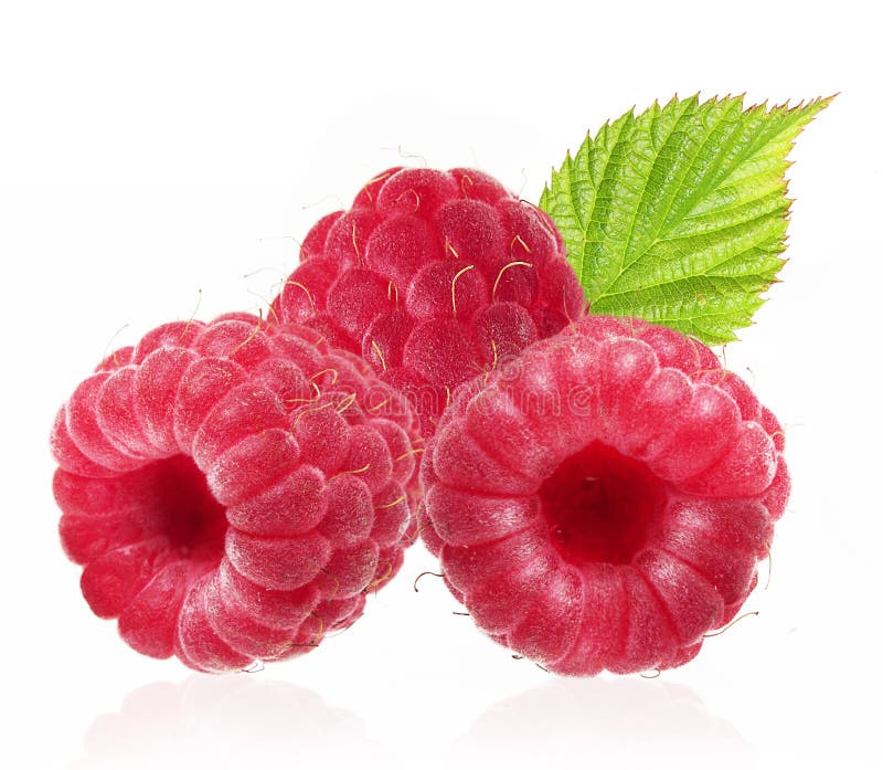 Raspberry stock image. Image of nature, snack, healthy - 2882475