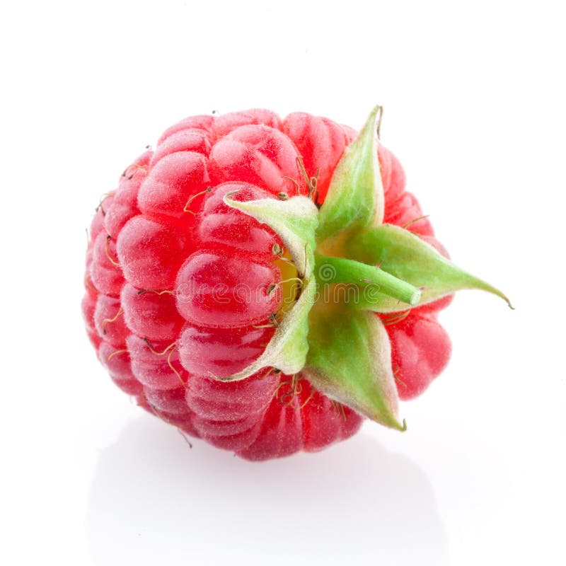 Raspberry stock image. Image of healthy, juicy, white - 36659333