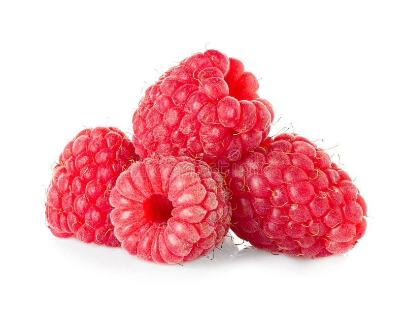 Red raspberry stock image. Image of white, raspberry, raspberries - 1860971
