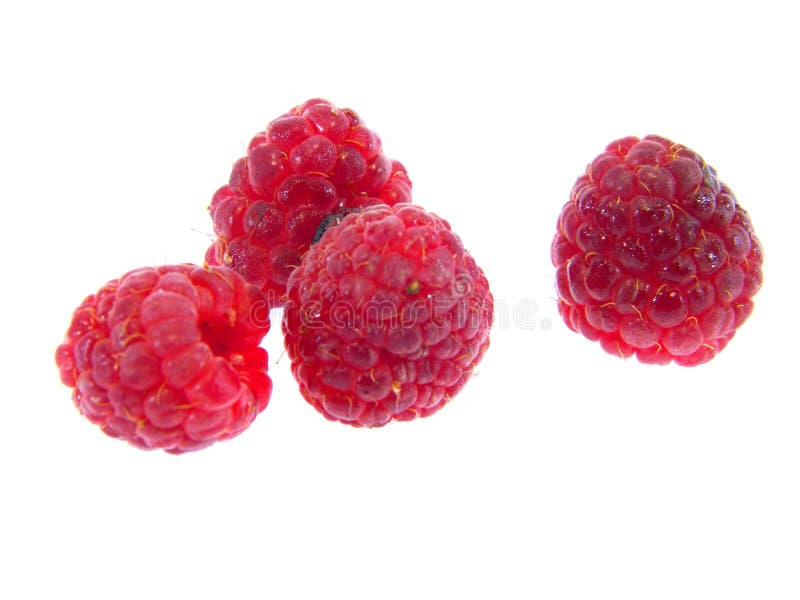 Raspberry Isolated on White Background Stock Image - Image of white ...
