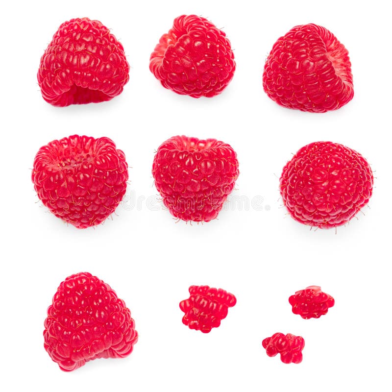 Raspberry Isolated. Raspberry on White Background. Pattern. Top View ...