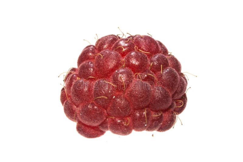 Raspberry Isolated on White Background Stock Image - Image of gourmet ...
