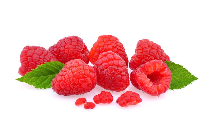 Raspberry Isolated on White Background Stock Photo - Image of studio ...