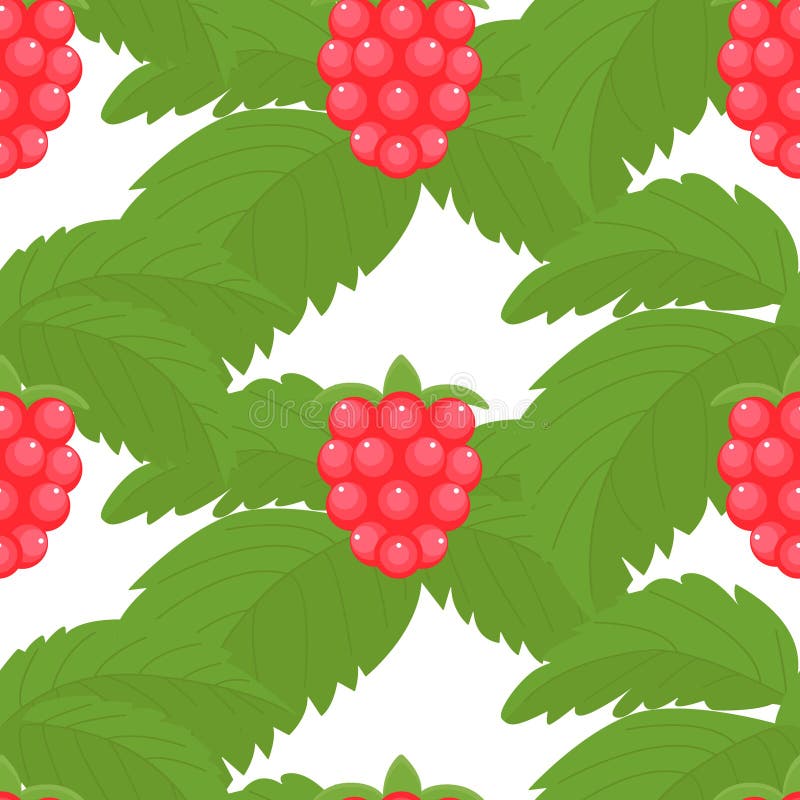 Raspberry Isolated on a White Background. Seamless Pattern. Red Berries ...