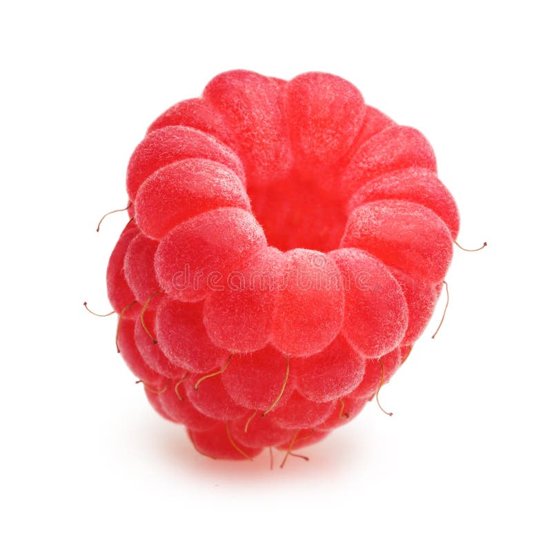 Raspberry Isolated on White Background Stock Photo - Image of seed ...