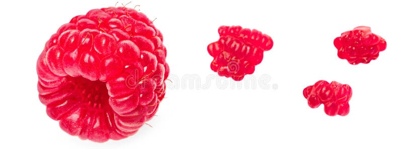 Raspberry Isolated. Raspberry on White Background. Top View. Collection ...