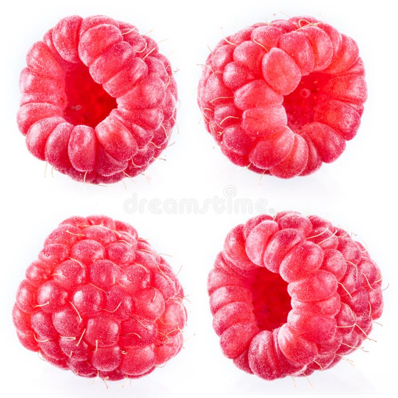 Raspberry Isolated. Collection Stock Image - Image of fruit, berry ...